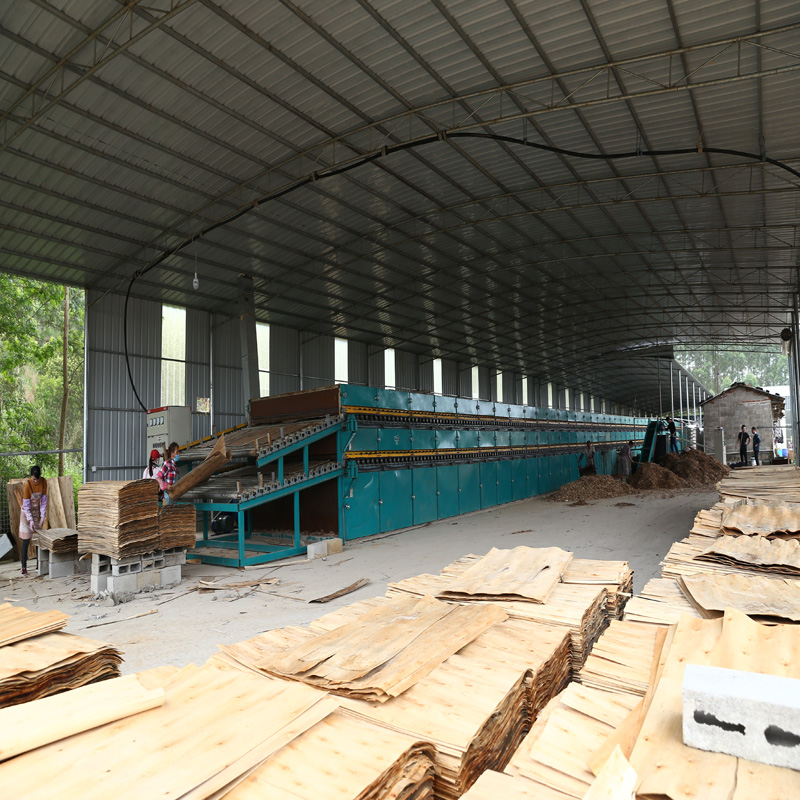 Industrial Face Veneer Dryer Machine-Shandong Shine Machinery Co., Ltd